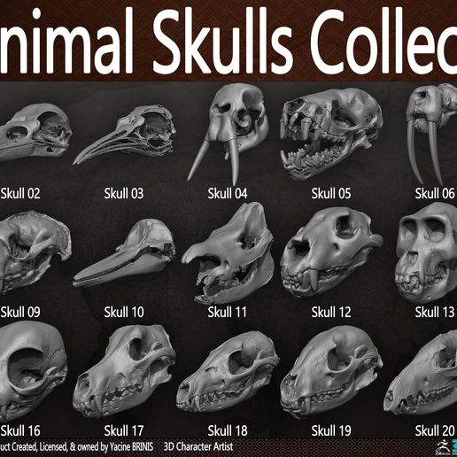 🦝 20 Animal Skulls Collection Volume 02・ 3D File for 3D printing・Cults
