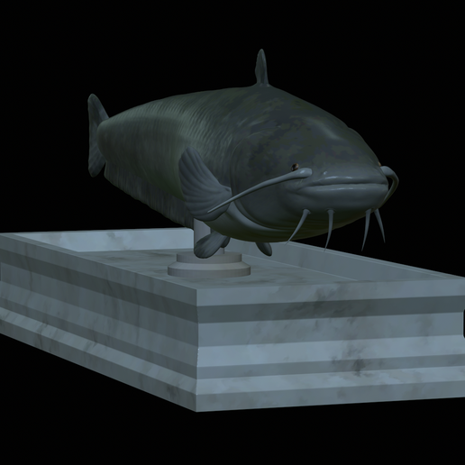 🐠 fish wels catfish / Silurus glanis statue detailed texture for 3d ...