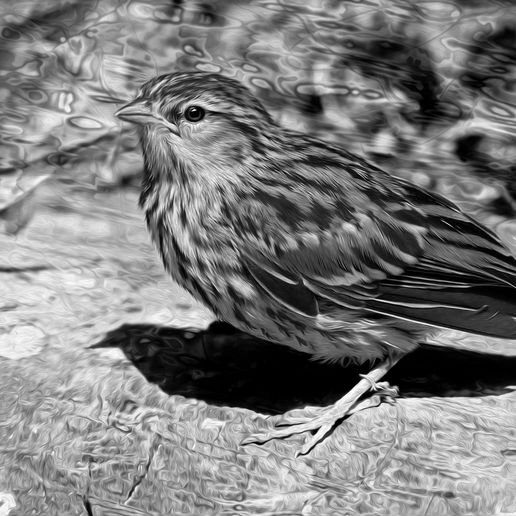 🎨 Wizard Sparrow Lithophane・ STL File for 3D printing・Cults