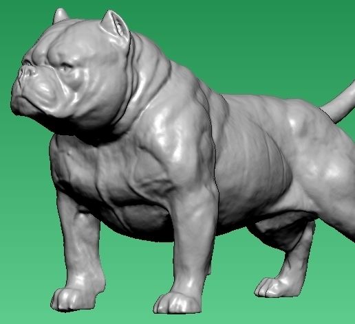 STL file American Bully Dog model - 3D print 🐕 ・3D printing template to ...