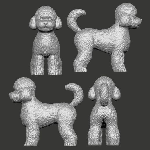 🐕 Maltipoo dog・ STL File for 3D printing・Cults