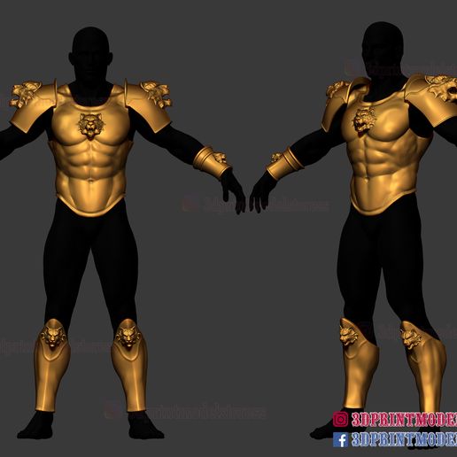 🏛️ Larp Armor - Classical Tiger Roman Muscle Armor Set Cosplay 3D print ...