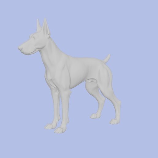 STL file Doberman 🐕 ・3D printer design to download・Cults