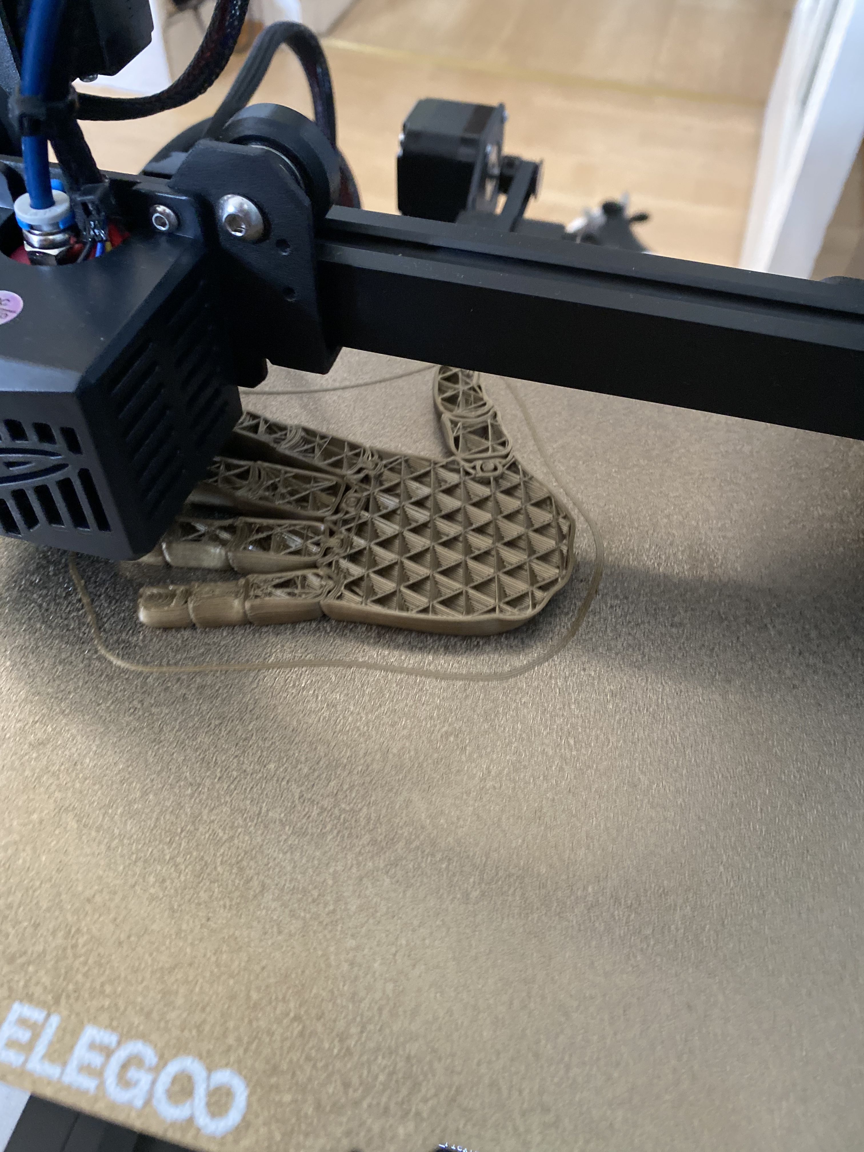 3D print Flexi PRINT-IN-PLACE Hand • made with Elegoo Neptune 2s・Cults