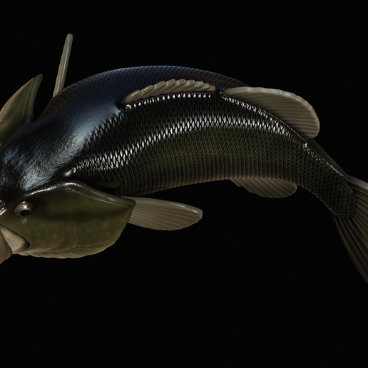 🐠 fish Largemouth Bass / Micropterus salmoides trophy statue detailed ...