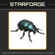 👽 28mm Sci-Fi Giant Creepy Crawly Alien for RPG Encounters StarForge ...