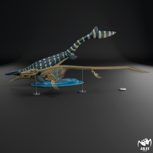 💀 Mosasaurus hoffmanni skeleton 3D print model・ 3D File for 3D printing ...