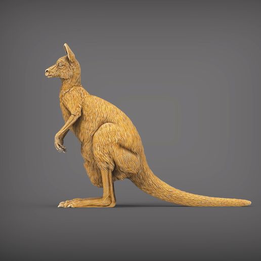 Archivo STL Gray kangaroo 3D print model 🦘 (OBJ)・Objeto imprimible en ...