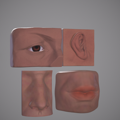 Eye best 3D printer files・1.3k models to download・Cults