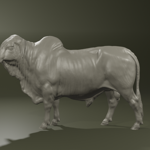 🐄 Cebú Brahman vaca toro, vaca toro modelo realista para la impresión ...