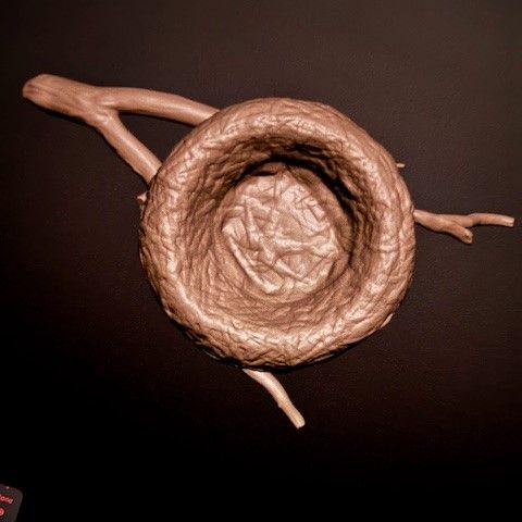 🐦 BIRD NEST ON LIMB・Free STL File for 3D printing・Cults
