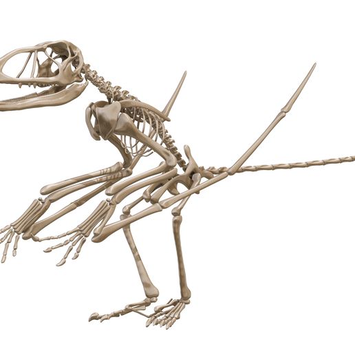peteinosaurus predators