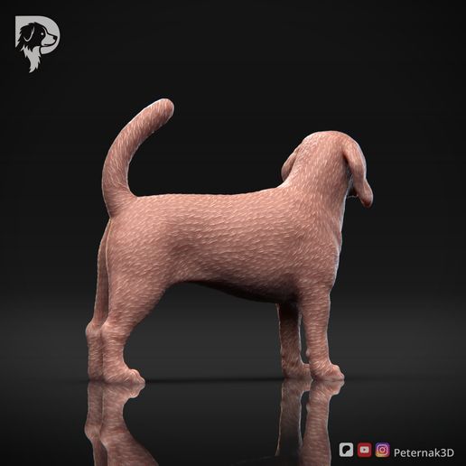 🐕 Beagle Dog 3D Print Model Pose 02・Free STL File for 3D printing・Cults