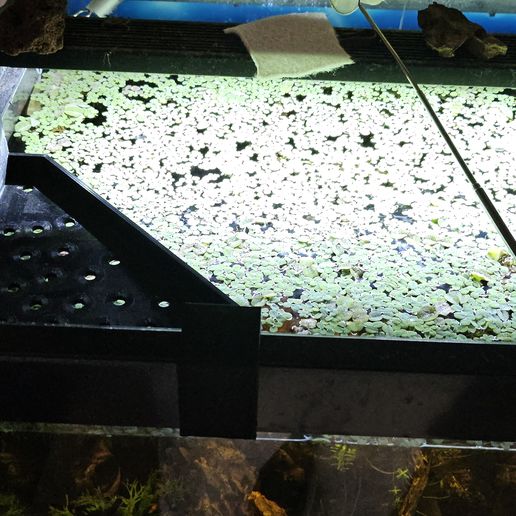 🚰 Aquarium water diffuser・ STL File for 3D printing・Cults