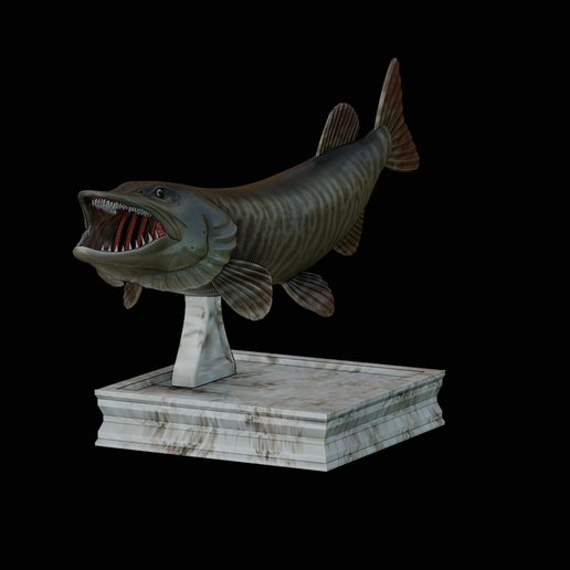 STL file fish pike muskellunge muskie / Esox masquinongy in motion 2 ...