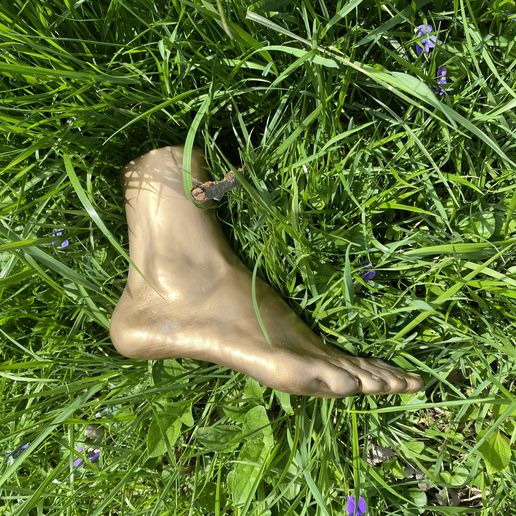 🦶 Alyssa Foot Sculpt・ STL File for 3D printing・Cults