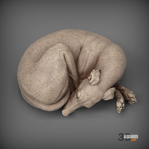 ⬆️ Whippet curled up asleep 3D print model・ STL File for 3D printing・Cults