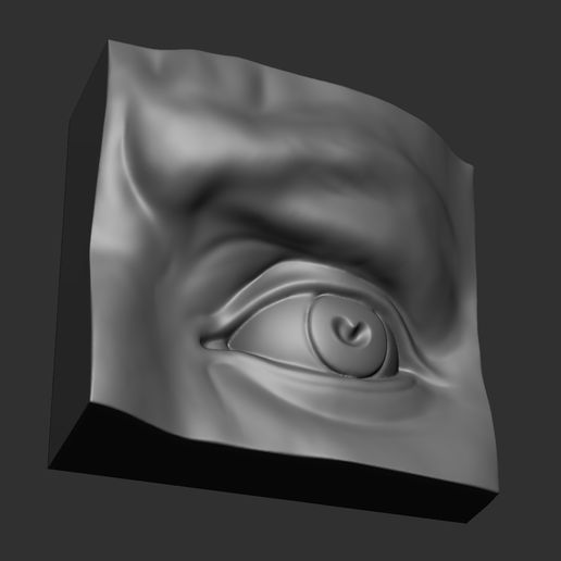 ️ David Facial Anatomy – Anatomic Study Models Collection STL+OBJ・ 3D ...