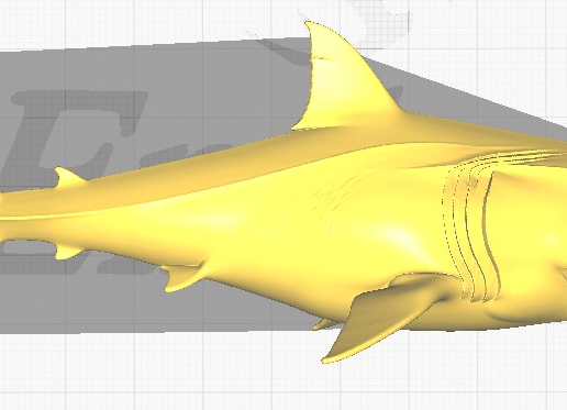 🦈 3D model represents the colossal Megalodon (Otodus megalodon).・ STL ...