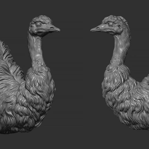 👤 Emu bust・ STL File for ・Cults