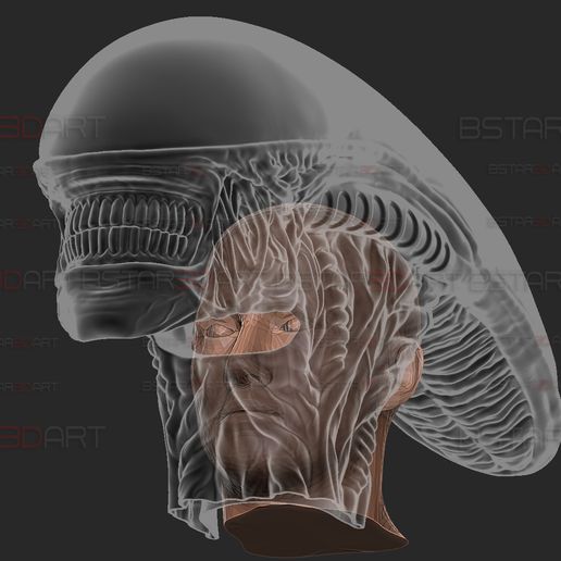 👽 Alien Xenomorph Head Decor Wearable Cosplay・ 3D File for 3D printing ...