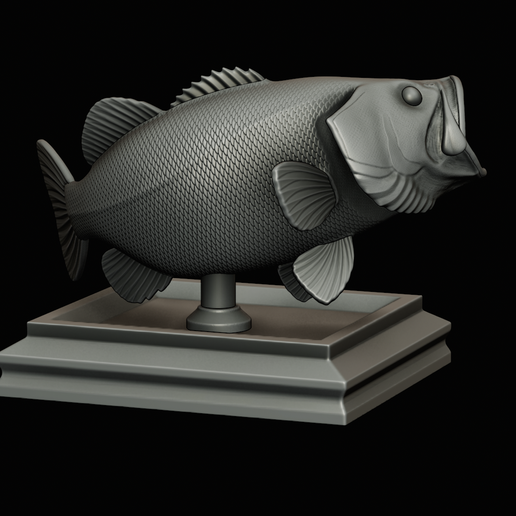 🐠 fish Largemouth Bass / Micropterus salmoides trophy statue detailed ...