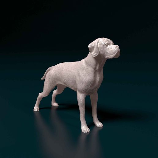 🐕 Portuguese Pointer・ STL File for 3D printing・Cults
