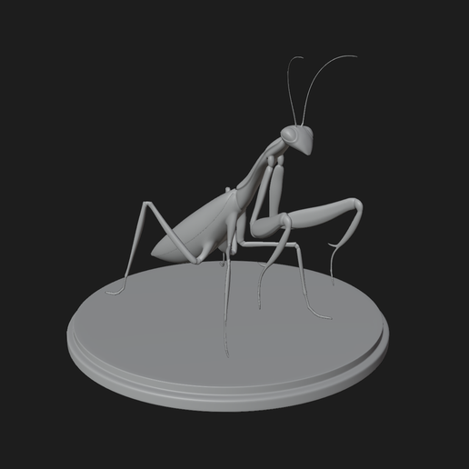 STL-Datei Mantis 3D Model – High-Quality Printable STL 🐉 ・Modell zum ...