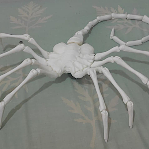 Impresión 3D Agisis Ultimate Alien Face Hugger (40in x 23in - LIFE SIZE ...