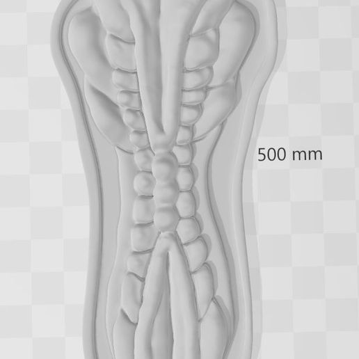 STL file embryo 22 days 🧑‍⚕️ ・3D printer model to download・Cults