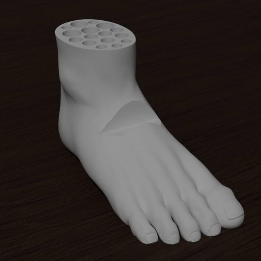 🦶 Mobile Stand and Penholder Realistic Foot・ STL File for 3D printing・Cults