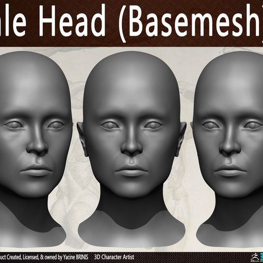 ♀️ Female Head Basemesh 3D Model・ 3D File for 3D printing・Cults