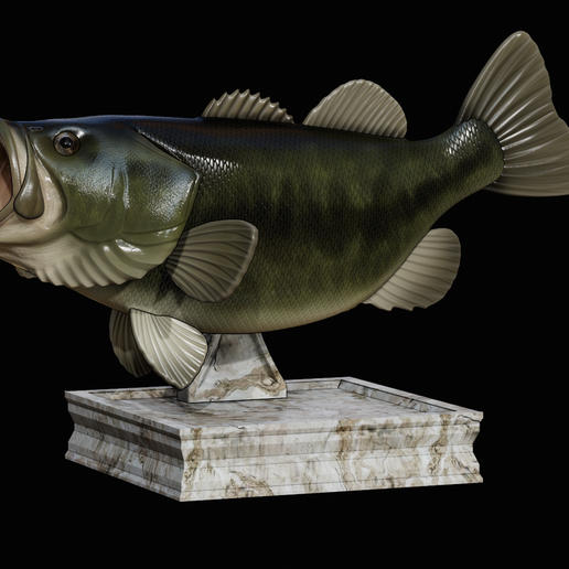 🐠 fish Largemouth Bass / Micropterus salmoides in motion 2 trophy ...