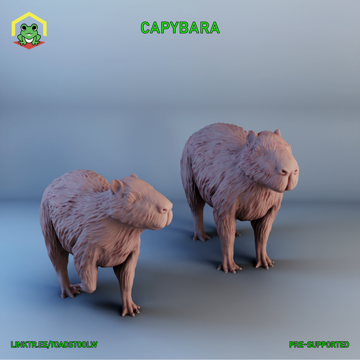 Archivo STL gratis Capybara - STL - RPG MINIATURE 🐀 ・Diseño por impresión en 3D para descargar・Cults