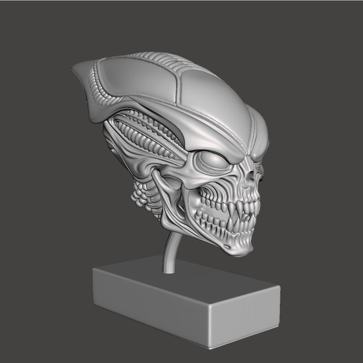 3d biomechanical