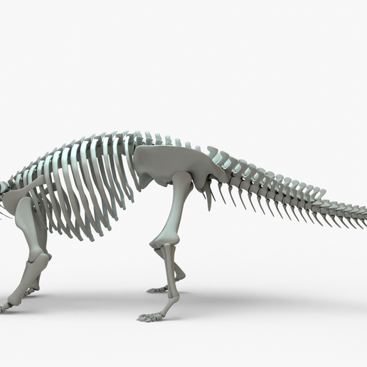 💀 Ankylosaurus Dinosour esqueleto Rigged 3D Print Model・Archivo STL ...