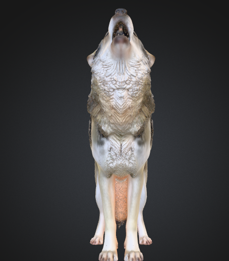 🐺 Wolf Howling・ 3D File for 3D printing・Cults