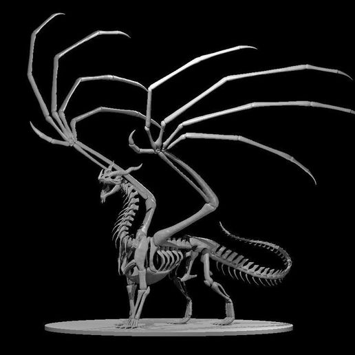 skeleton dragon backgrounds