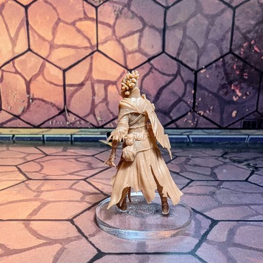🦁 Gloomhaven - Voidwarden - Jaws of the Lion・Arquivo STL para Impressão ...