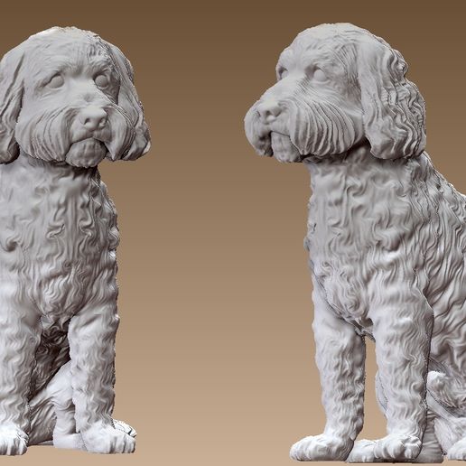 🐕 Estatua de perro - Dexter the Cockapoo statue - Impresión 3D・Archivo ...