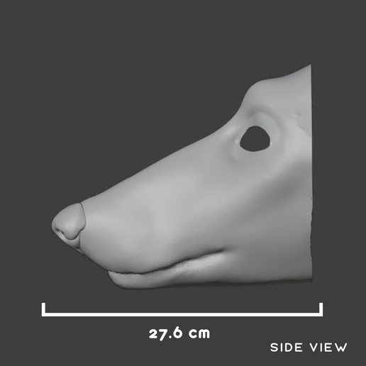 🐕 3D Printable Borzoi Fursuit Base・ STL File for 3D printing・Cults