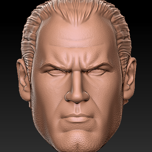 🦸 bruce wayne alex ross・ OBJ File for 3D printing・Cults