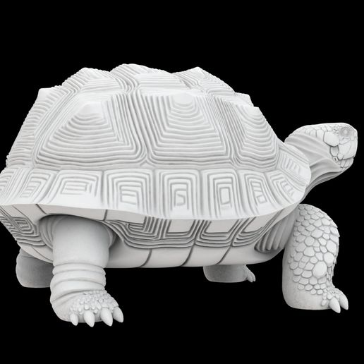 🐢 Tortoise 3D Print Model Turtle Sculpture・ STL File for 3D printing・Cults
