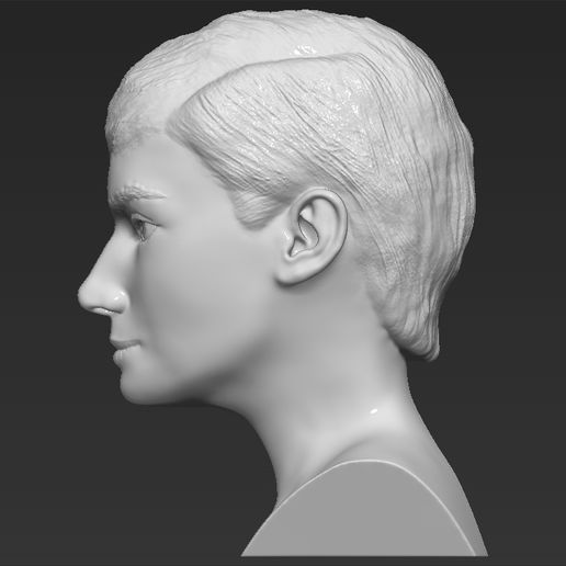 3D file Audrey Hepburn bust 3D printing ready stl obj formats・3D printing idea to download・Cults