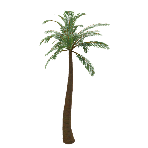 STL file Palm Tree 🌳 ・Template to download and 3D print・Cults