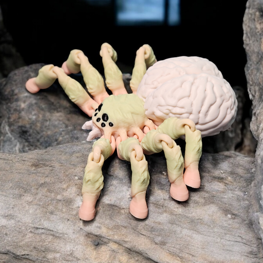 🕷️ CEREBRAL ARACHNID・Free 3D File for 3D printing・Cults
