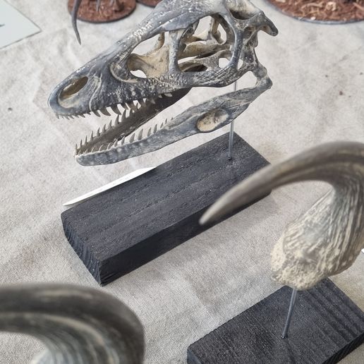 microraptor skeleton replica