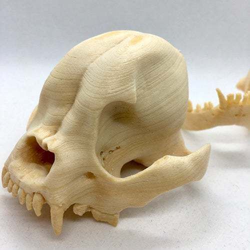 💀 THE FRENCHIE SKULL WITH WOOD PLA・ STL File for ・Cults