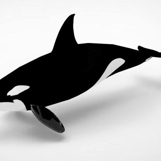 🐠 orca・ STL File for 3D printing・Cults