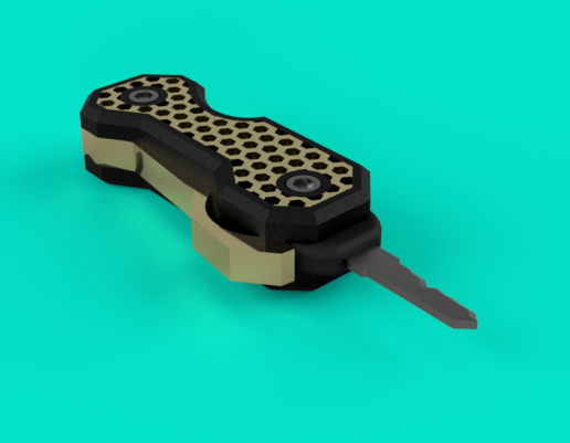 Free 3D file Key Protector 🔑 ・3D printer model to download・Cults